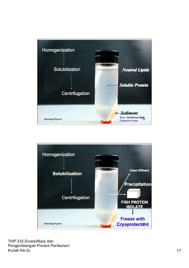 03a fish protein isolate