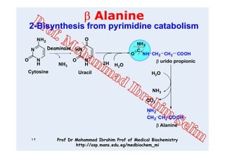 03 alanine metabolism | PDF