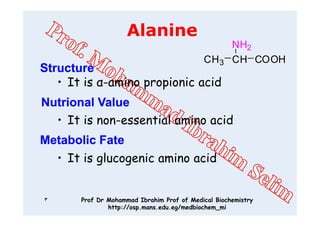 03 alanine metabolism | PDF