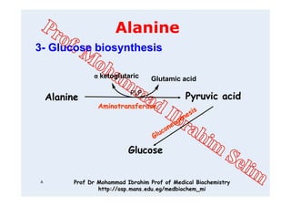 03 alanine metabolism | PDF
