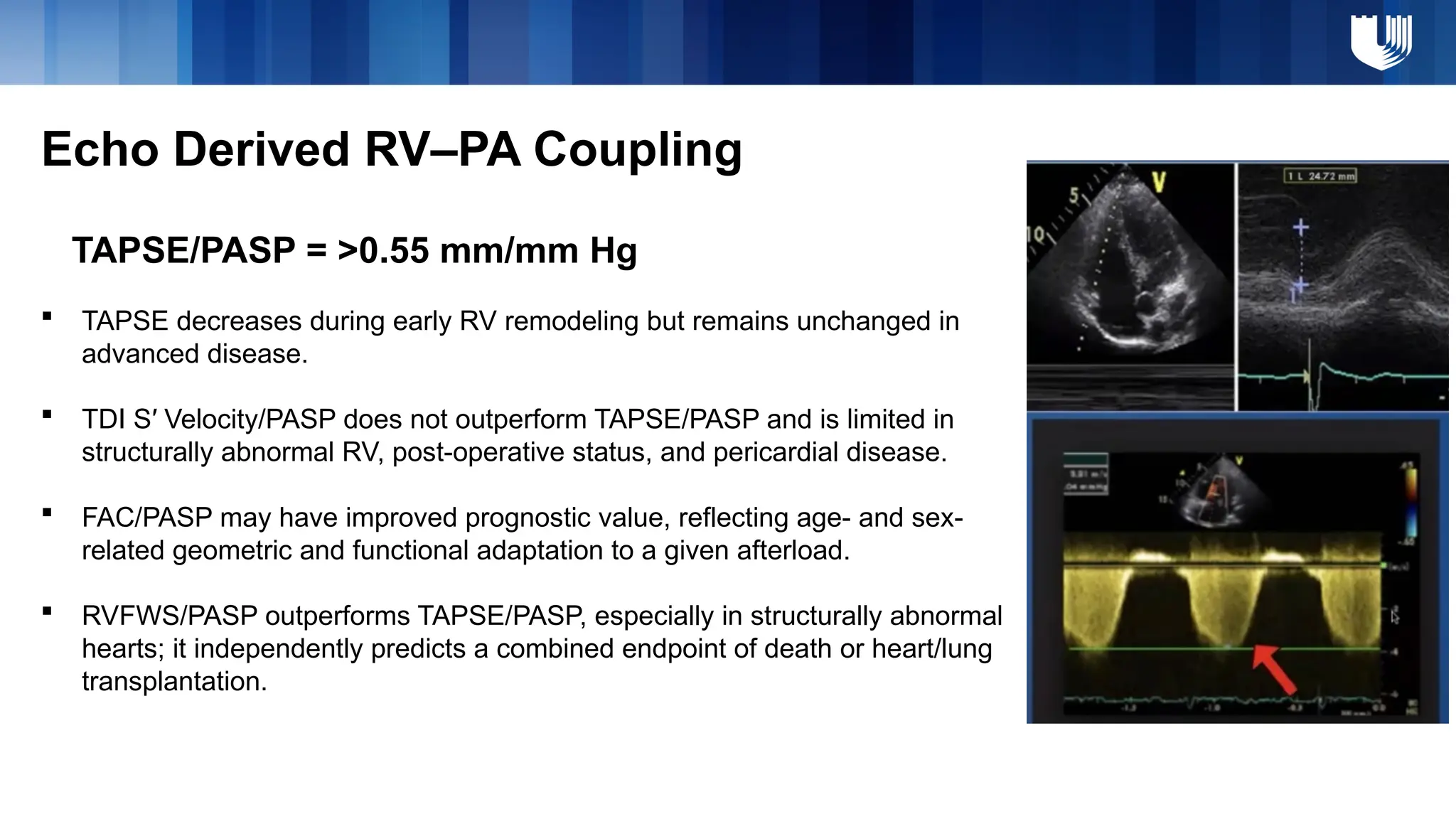 2025 ASE Right Heart and PH Guidelines (Cardiac Imaging Symposium) | PPTX