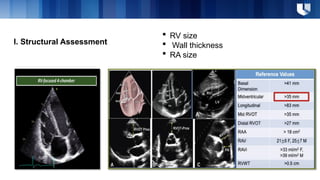 2025 ASE Right Heart and PH Guidelines (Cardiac Imaging Symposium) | PPTX