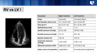 2025 ASE Right Heart and PH Guidelines (Cardiac Imaging Symposium) | PPTX