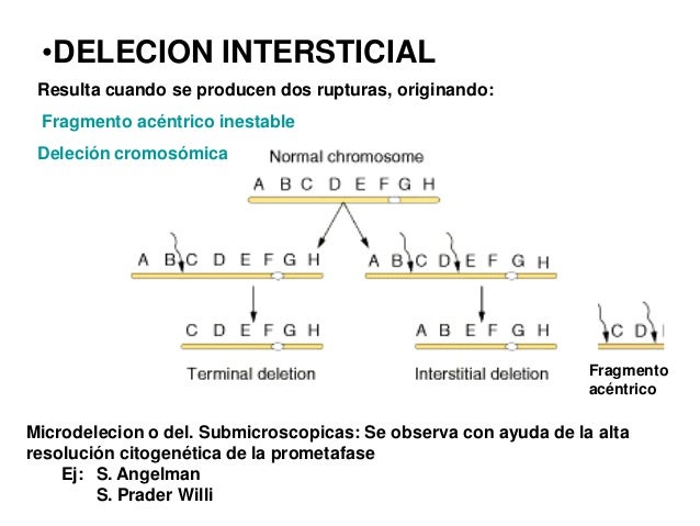 03 alteraciones cromosómicas estructurales