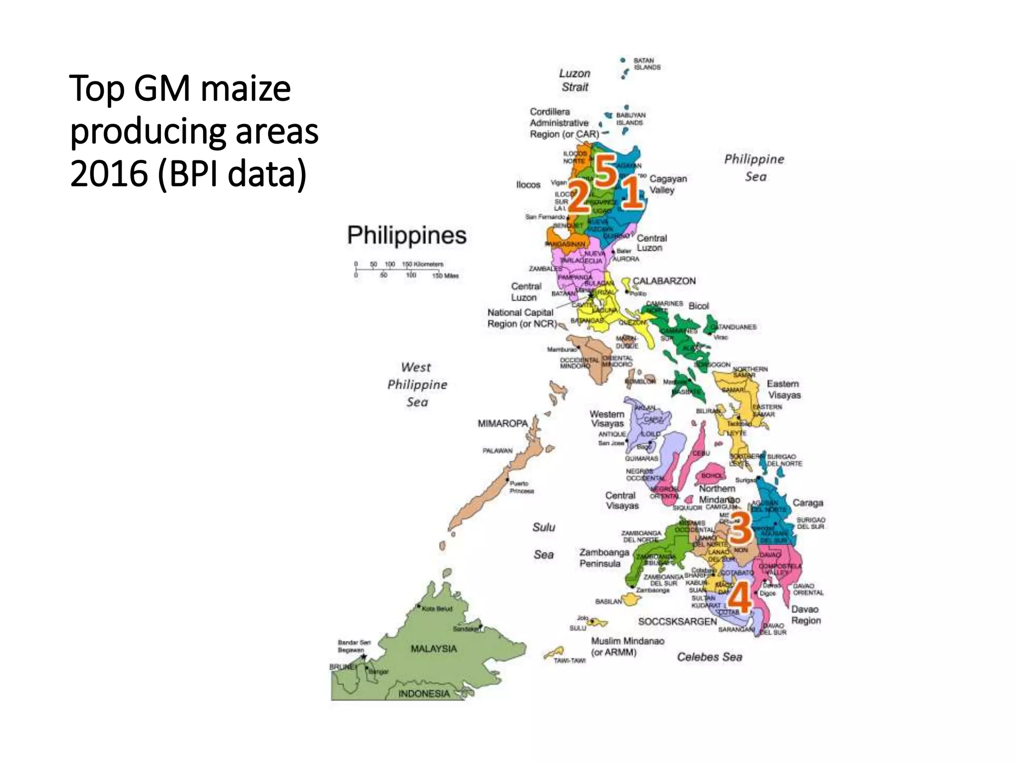 Success of GM Maize in Philippines | PPTX