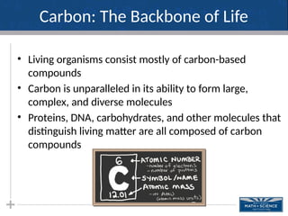 03 AP Bio Carbon and the Molecular Diversity of Life (1).pptx