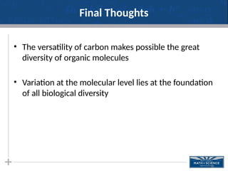 03 AP Bio Carbon and the Molecular Diversity of Life (1).pptx