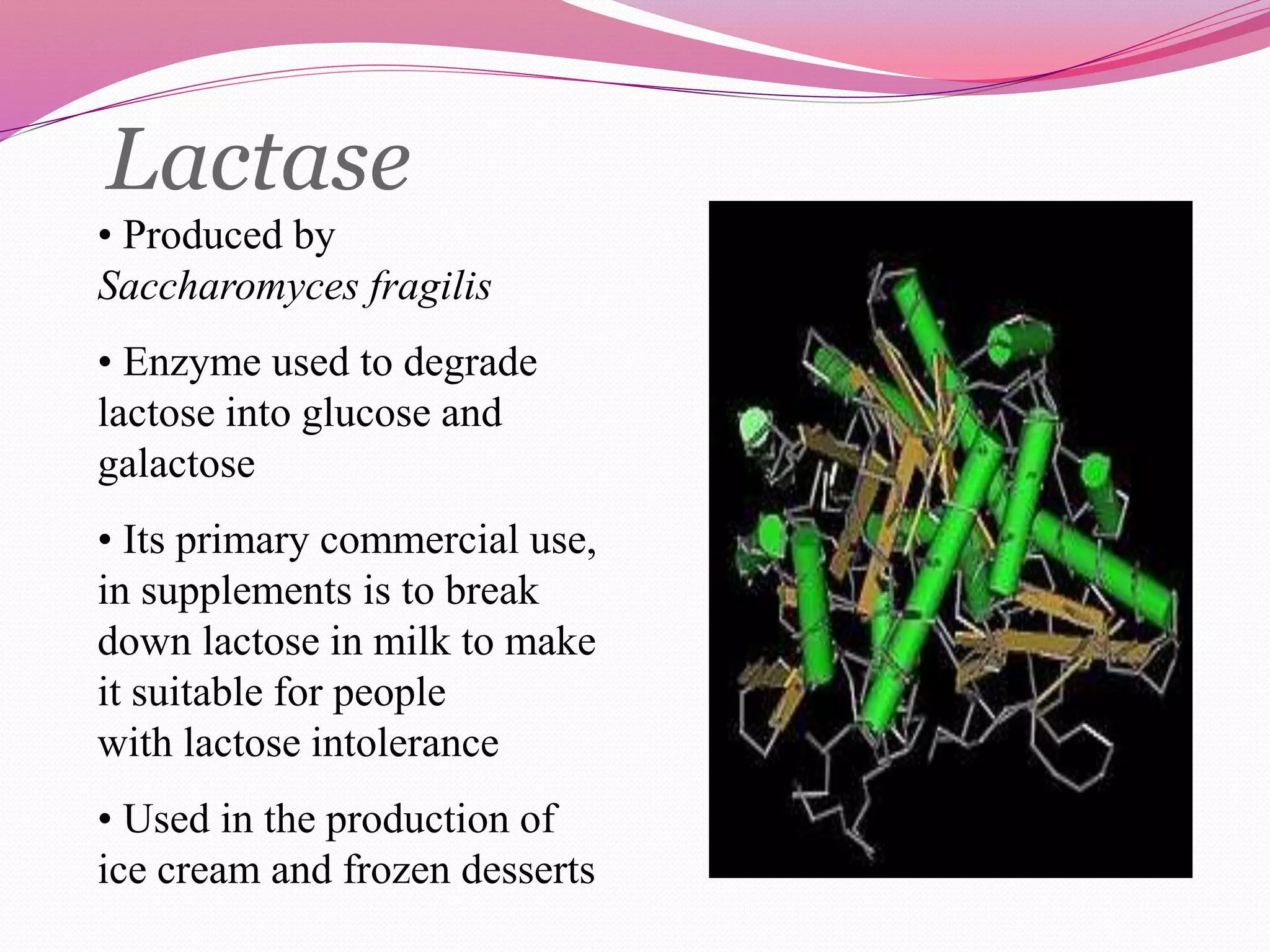 Microbes in biological control,Fermentation and enzyme technology | PPTX