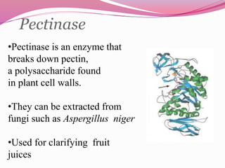 Microbes in biological control,Fermentation and enzyme technology | PPTX