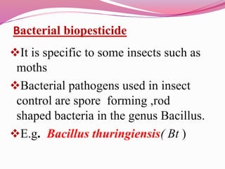 Microbes in biological control,Fermentation and enzyme technology | PPTX