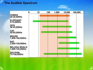 03 auditory smell & taste signal processing | PDF | Biological Sciences ...