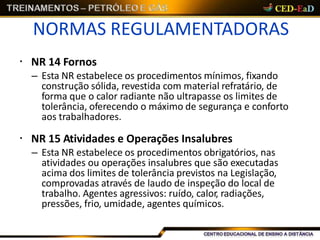03 aula normas regulamentadoras nr´s nr15 nr16 | PPTX