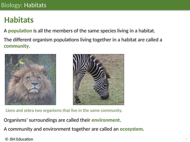 JSH03B001 Habitats; Biology Education ages 11-14 | PPTX