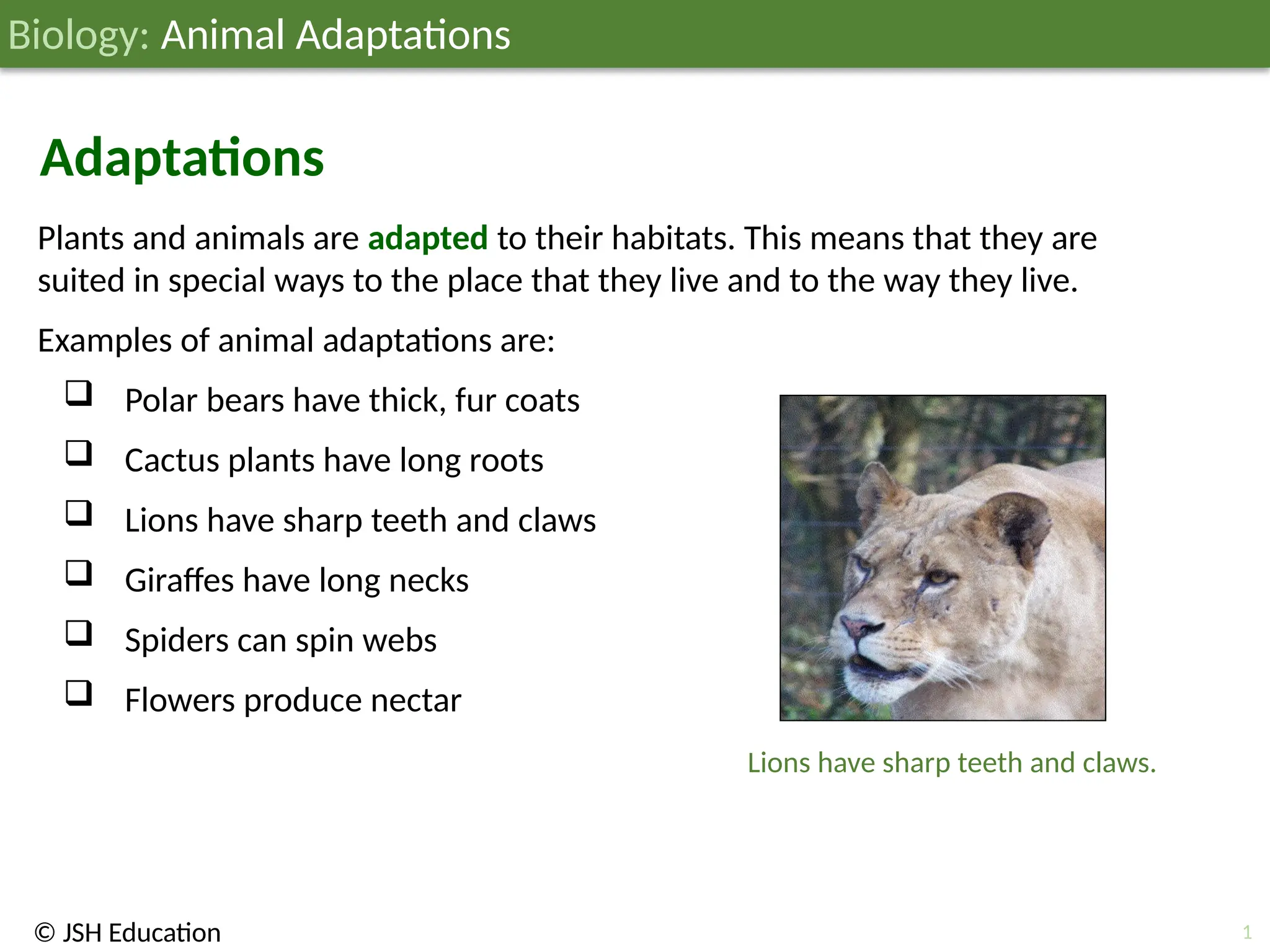 JSH03B002 Animal Adaptations; Biology Education ages 11-14 | PPTX