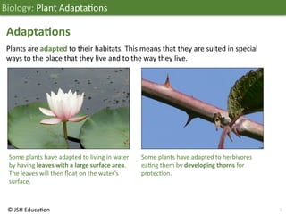JSH03B003 Plant Adaptations; Biology Education ages 11-14 | PPTX