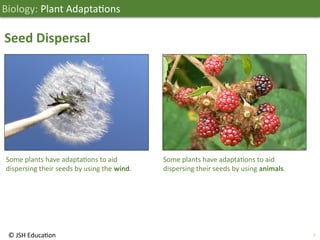 JSH03B003 Plant Adaptations; Biology Education ages 11-14 | PPTX