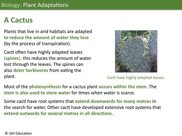 JSH03B003 Plant Adaptations; Biology Education ages 11-14 | PPTX