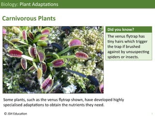 JSH03B003 Plant Adaptations; Biology Education ages 11-14 | PPTX