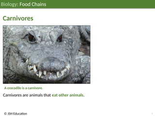 JSH03B004 Food Chains; Biology Education ages 11-14 | PPTX