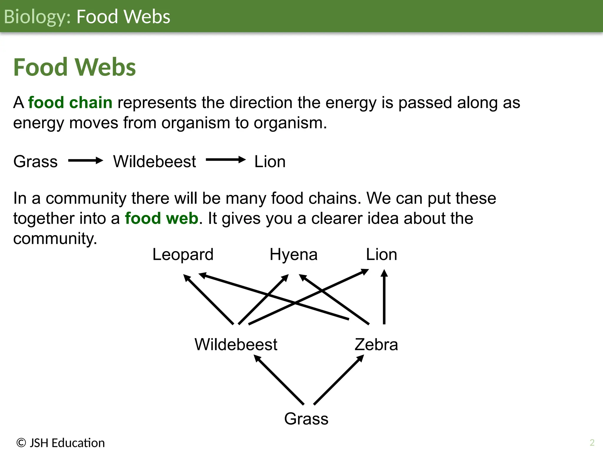 JSH03B005 Food Webs; Biology Education ages 11-14 | PPTX