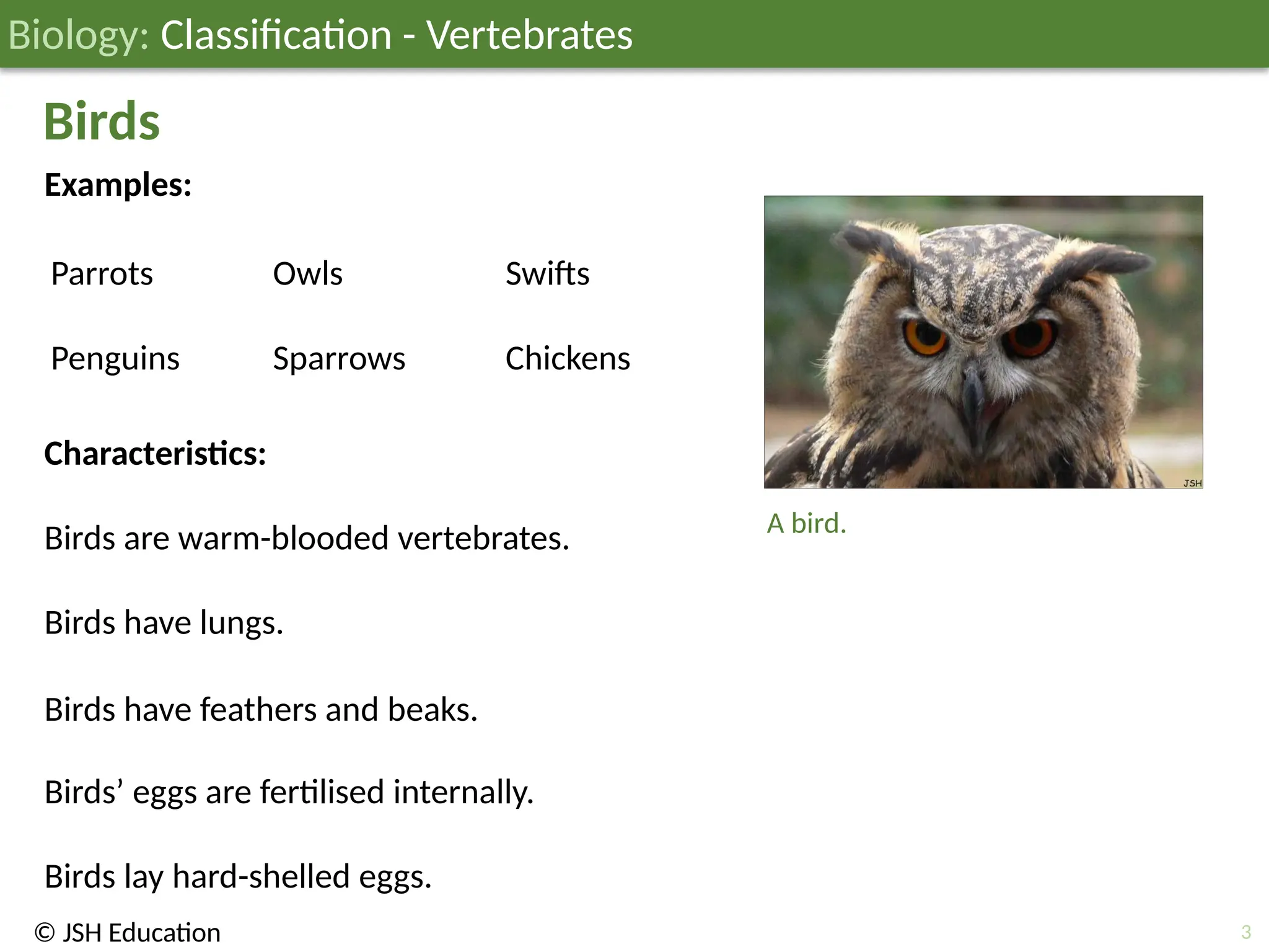 JSH03B012 Classification - Vertebrates; Biology Education ages 11-14 | PPTX