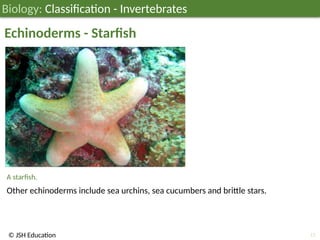 JSH03B013 Classification - Invertebrates; Biology Education ages 11-14 ...