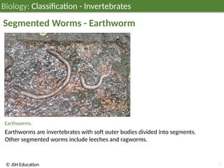 JSH03B013 Classification - Invertebrates; Biology Education ages 11-14 ...