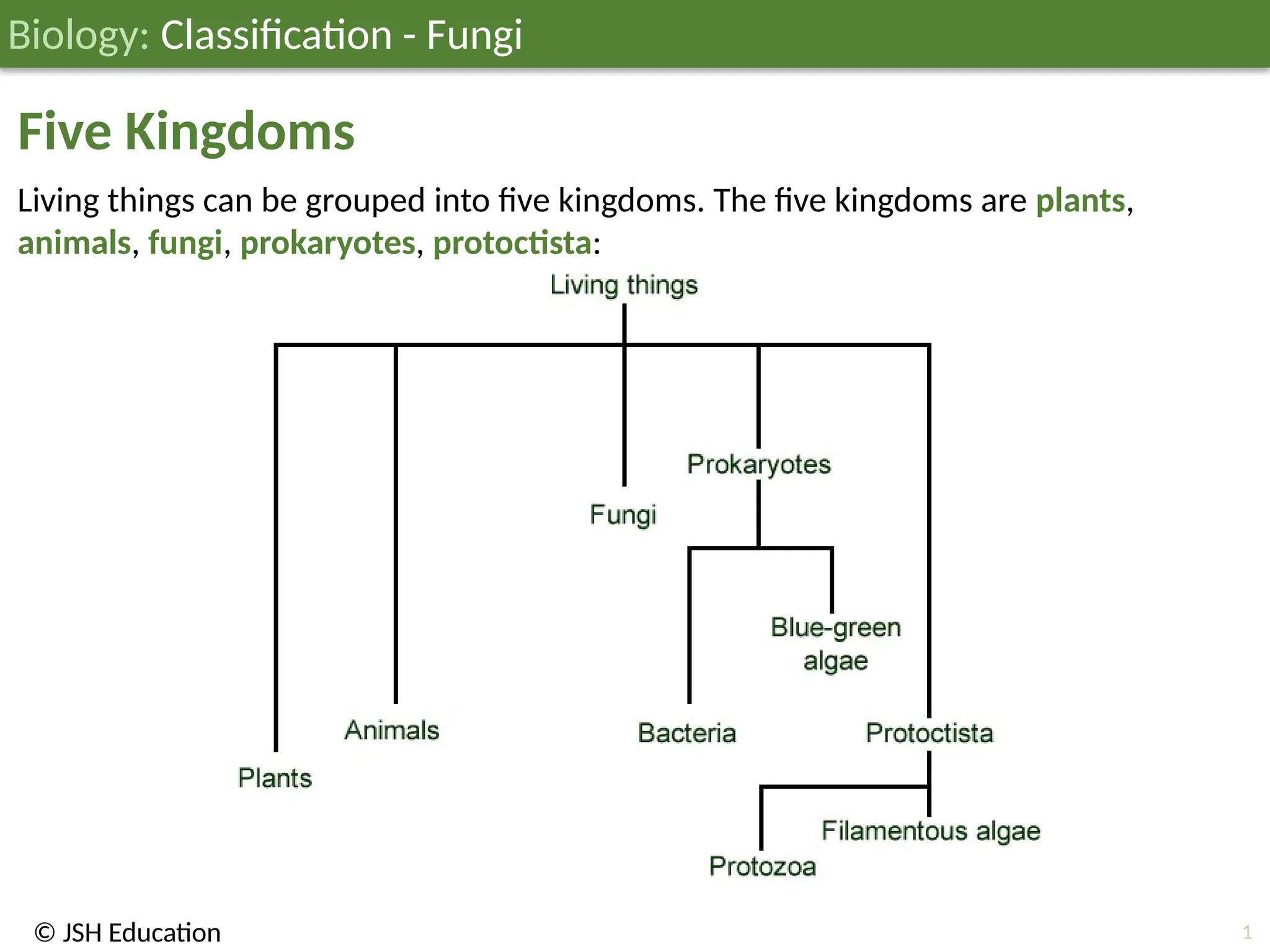 JSH03B014 Classification - Fungi; Biology Education ages 11-14 | PPTX