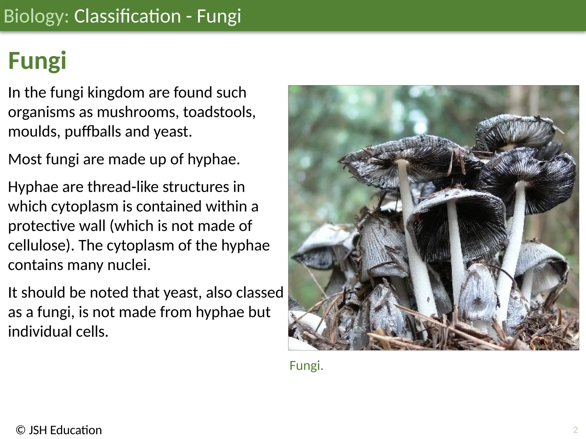 JSH03B014 Classification - Fungi; Biology Education ages 11-14 | PPTX