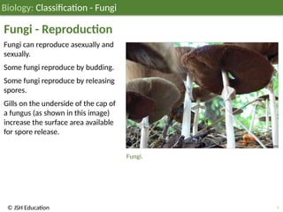 JSH03B014 Classification - Fungi; Biology Education ages 11-14 | PPTX
