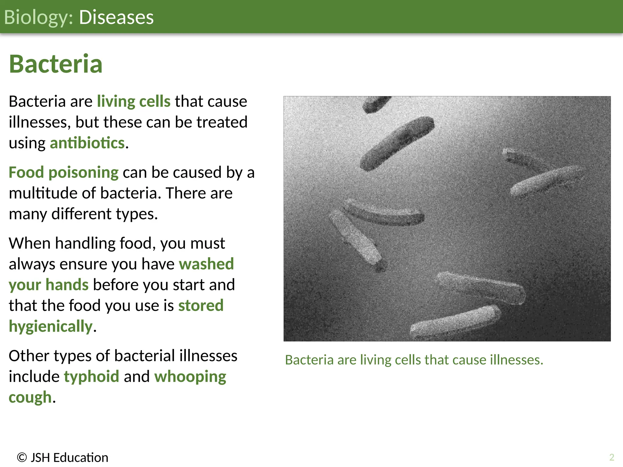 JSH03B044 Diseases; Biology Education ages 11-14 | PPTX
