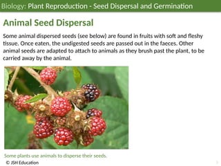 JSH03B050 Plant Reproduction - Seed Dispersal and Germination; Biology ...
