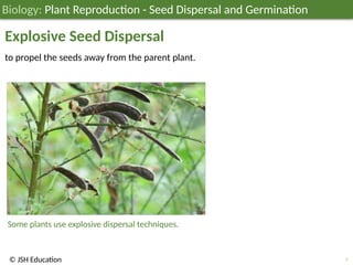 JSH03B050 Plant Reproduction - Seed Dispersal and Germination; Biology ...