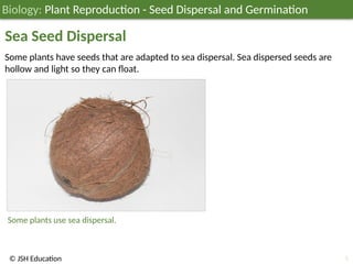 JSH03B050 Plant Reproduction - Seed Dispersal and Germination; Biology ...