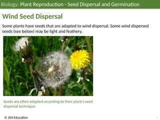 JSH03B050 Plant Reproduction - Seed Dispersal and Germination; Biology ...