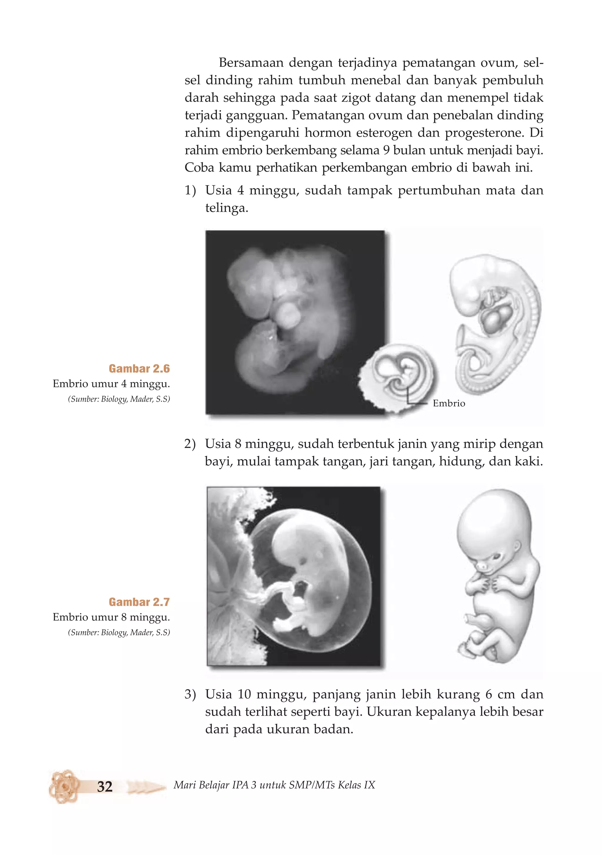 Reproduksi Manusia | PDF