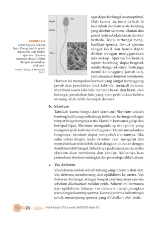 Reproduksi Manusia | PDF