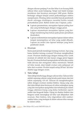 Reproduksi Manusia | PDF