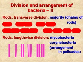 03 bacterial growth_2008 | PPT