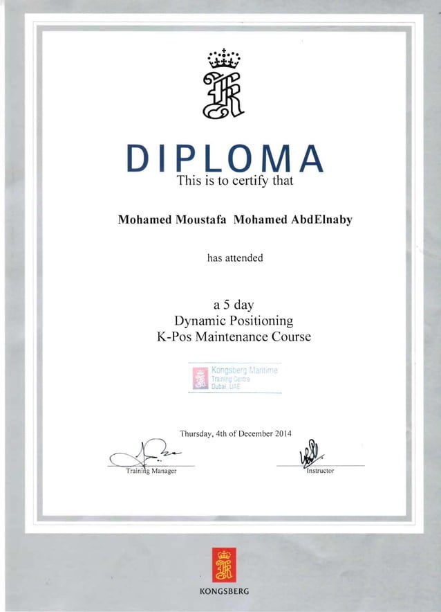 DP Maintenance Ceritifcate | PDF | Musical Instruments | Hobbies & Interests