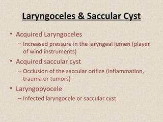 Saccular Cyst