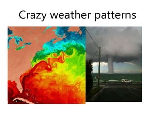 03 bermuda triangle pres.pptx