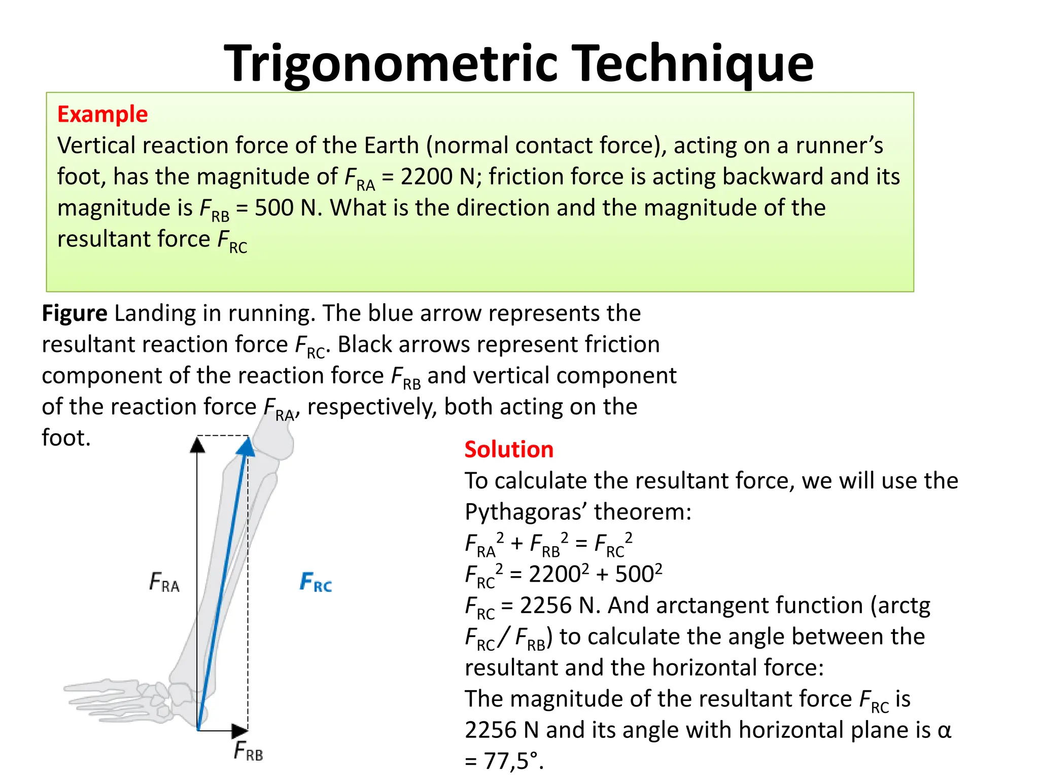03_Biomechanics_-_Prezentace_aplikace_Microsoft_PowerPoint.pdf