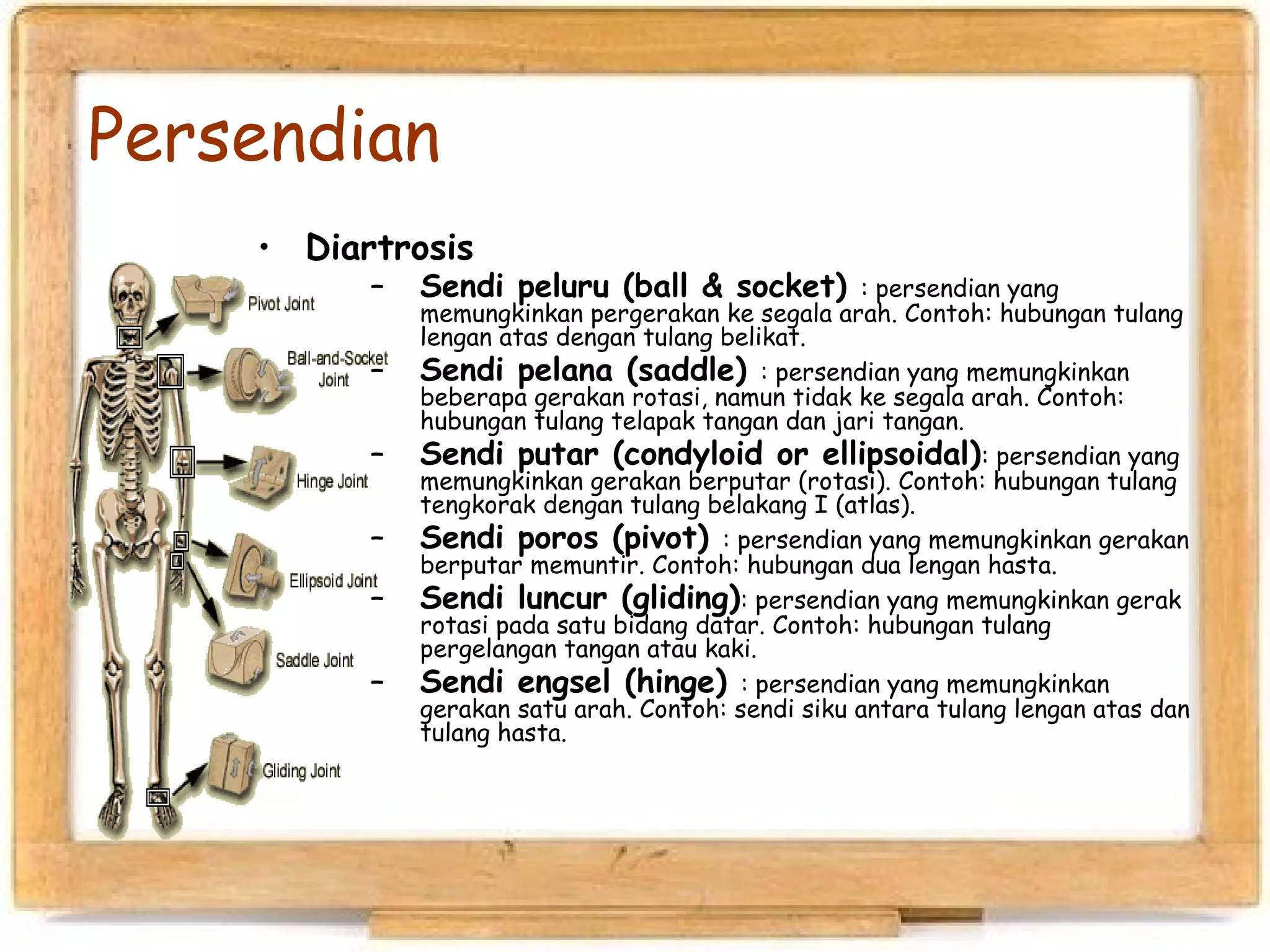 03 biomekanika | PPT