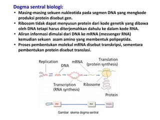 03_BiotekS1-Dogma Central Biologi.pptx.pdf