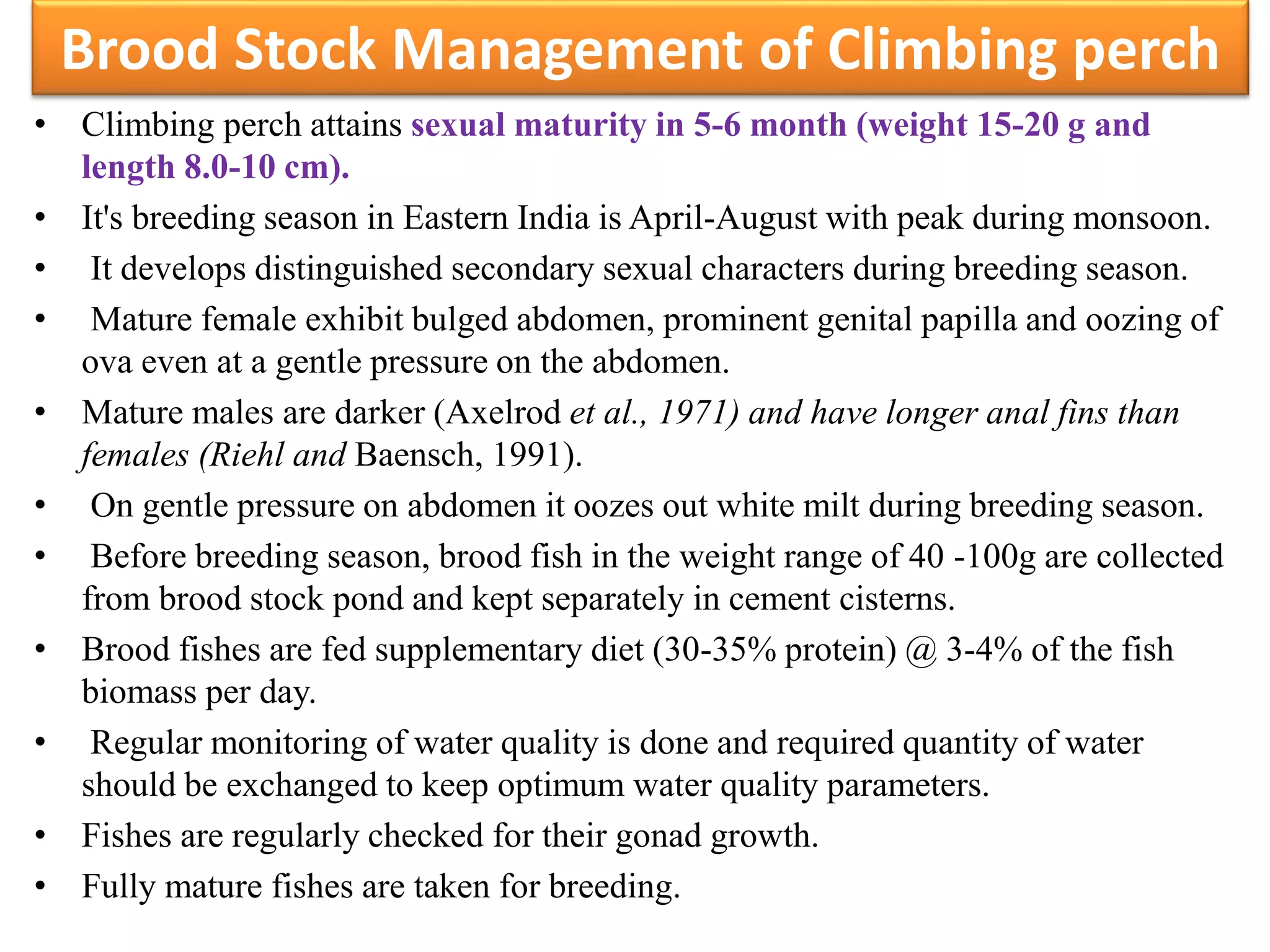 Breeding,seed production and seed rearing of climbing perch | PPTX