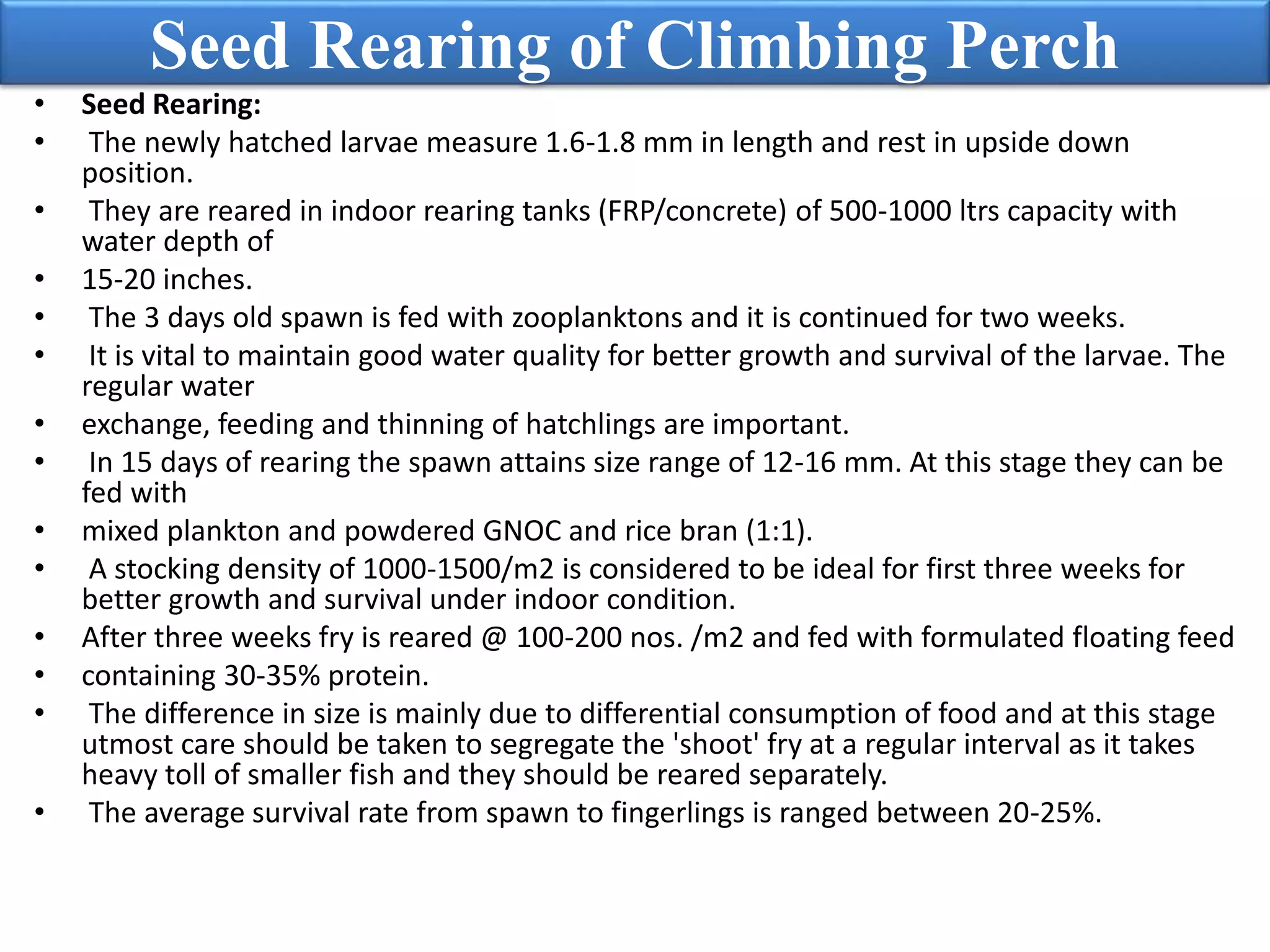 Breeding,seed production and seed rearing of climbing perch | PPTX