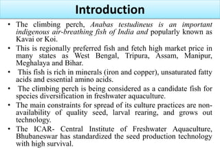 Breeding,seed production and seed rearing of climbing perch | PPTX