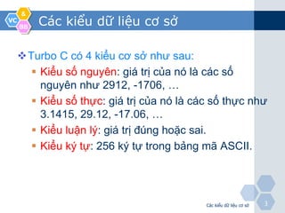 Phần 3: Các kiểu dữ liệu cơ sở | PDF