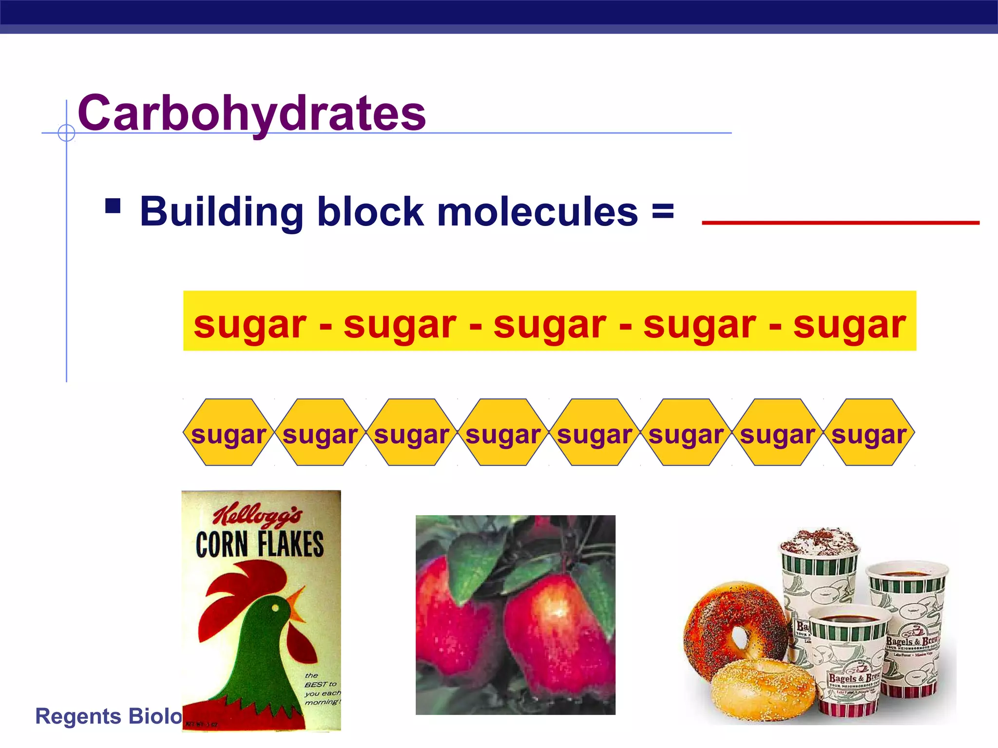 Carbohydrates | PPT | Chemistry | Science
